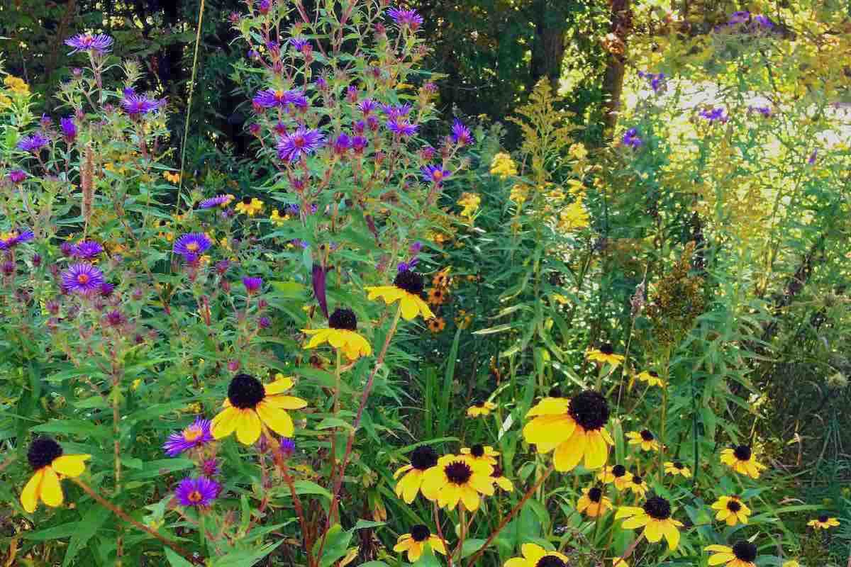 About Verity Blue Studio | Art Studio, Gallery & Shop